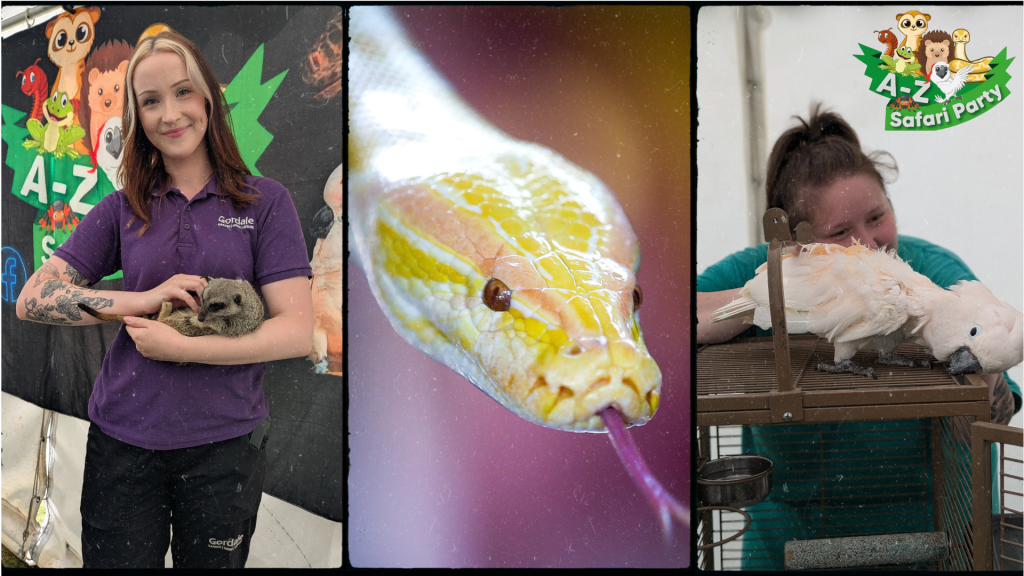 [SOLD OUT] Spooky Animal Encounters 2025 | Gordale Garden & Home Centre